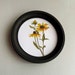 Black Round Frame, Round Picture Frame, Embroidery Frame, Picture ...
