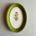 Olive Oval Frame Oval Photo Frame Oval Picture Frame Wooden Oval Frame ...