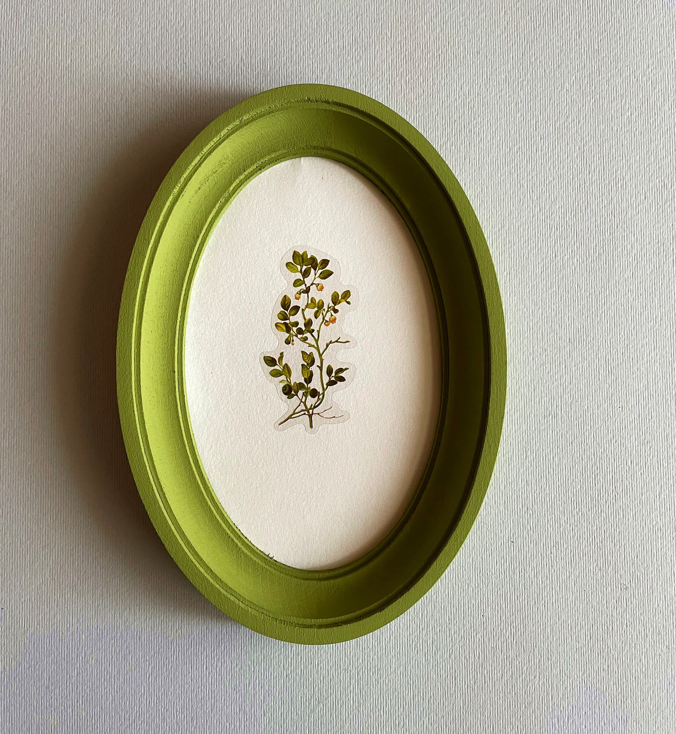 Olive Oval Frame Oval Photo Frame Oval Picture Frame Wooden Oval Frame ...