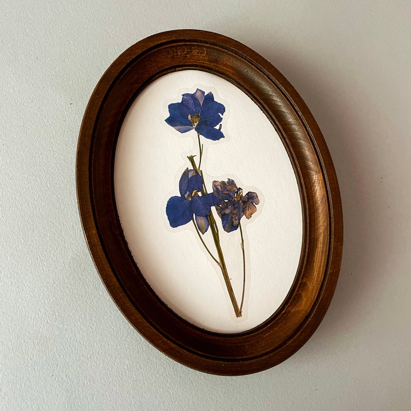 Oval Picture Frame - Etsy