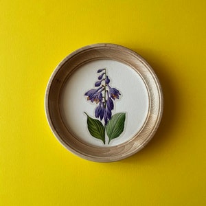 Round Frame Round Picture Frame Round Photo Frame Circle Frame ...