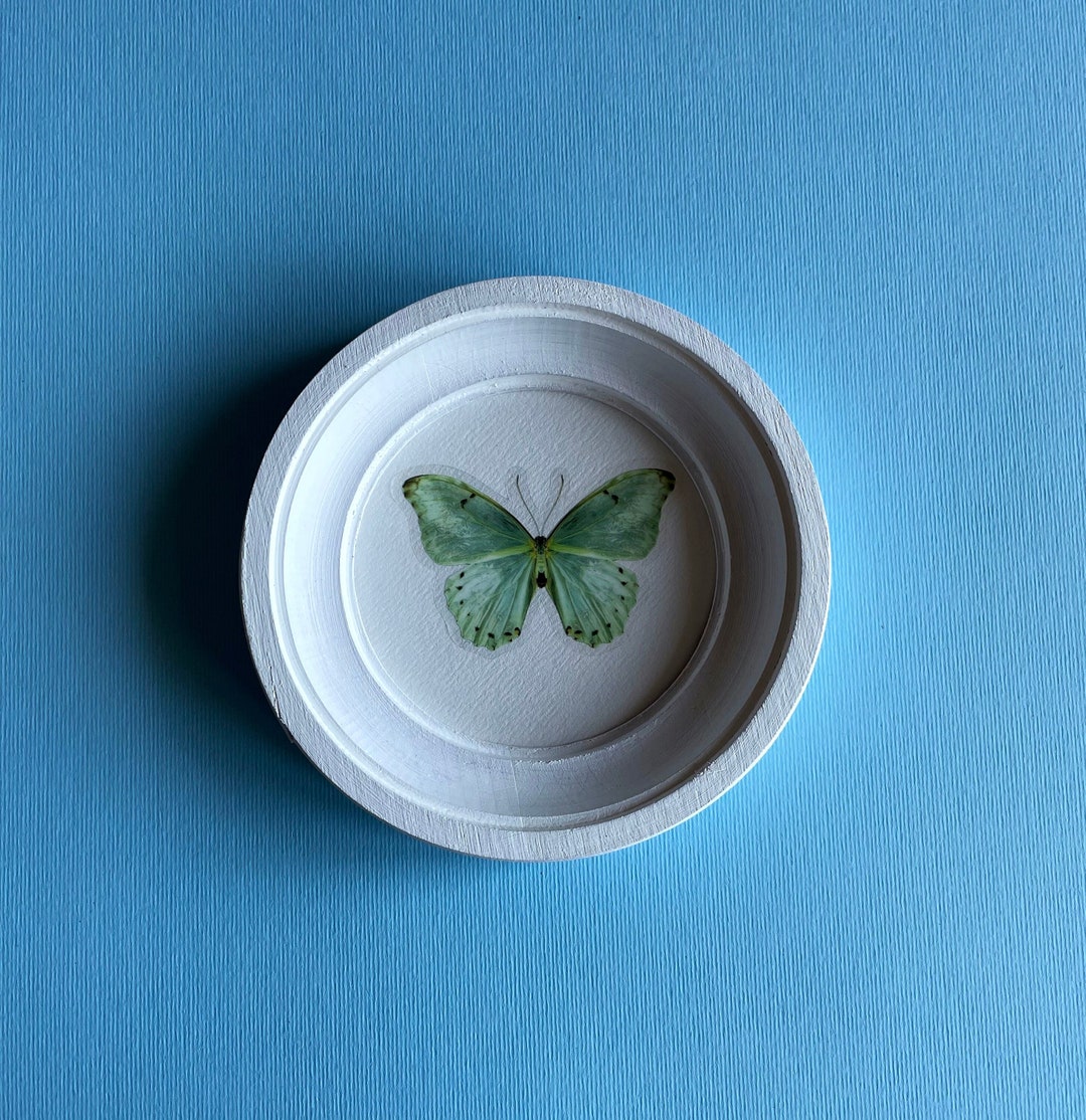 White Round Frame Round Wall Frame Round Photo Frame Mini Frame Hoop ...