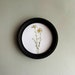 Black Round Frame Round Picture Frame Embroidery Frame Picture Frames ...