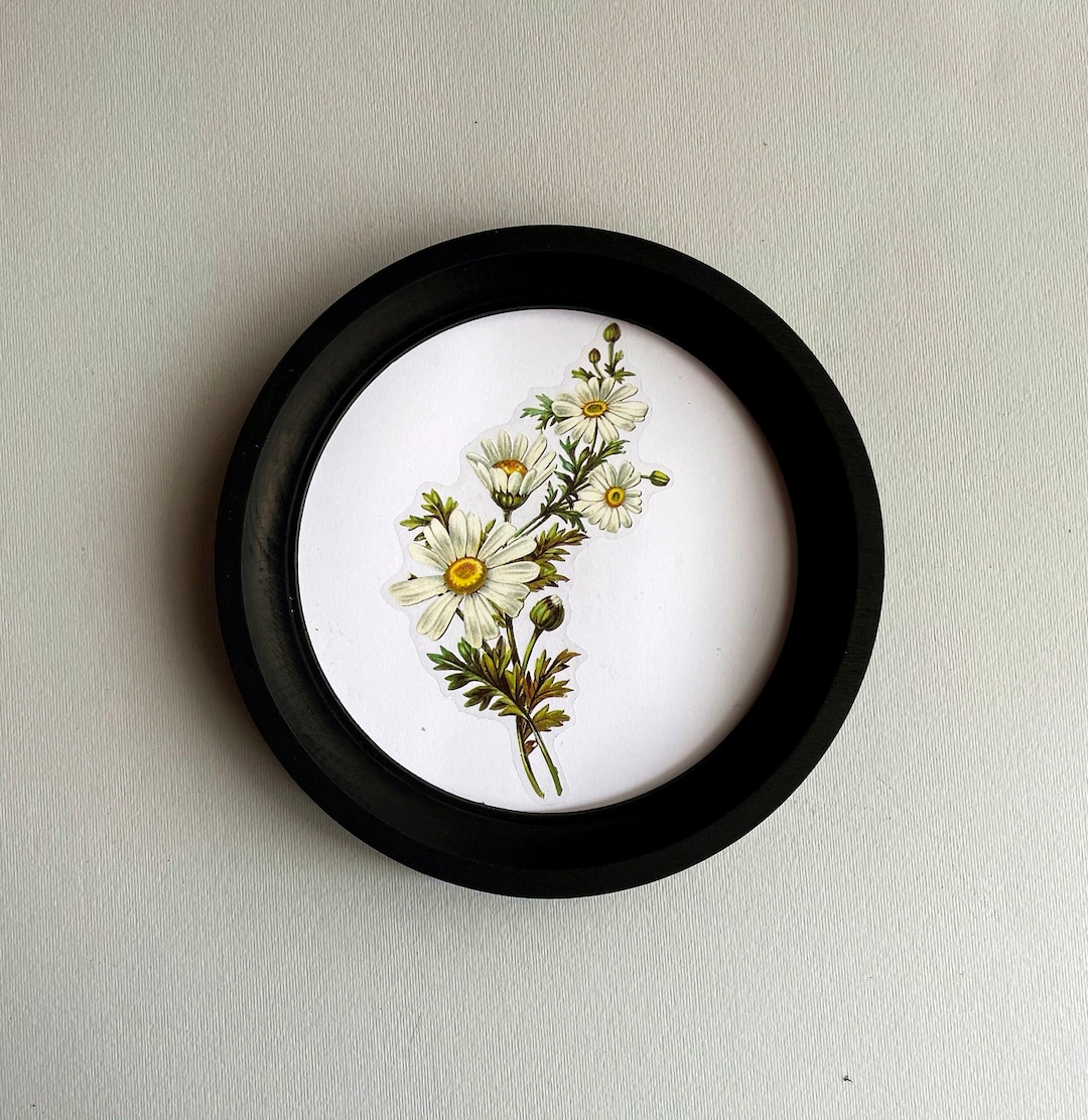 Black Round Frame, Embroidery Hoop Frame, Circular Frame, Round Wooden ...