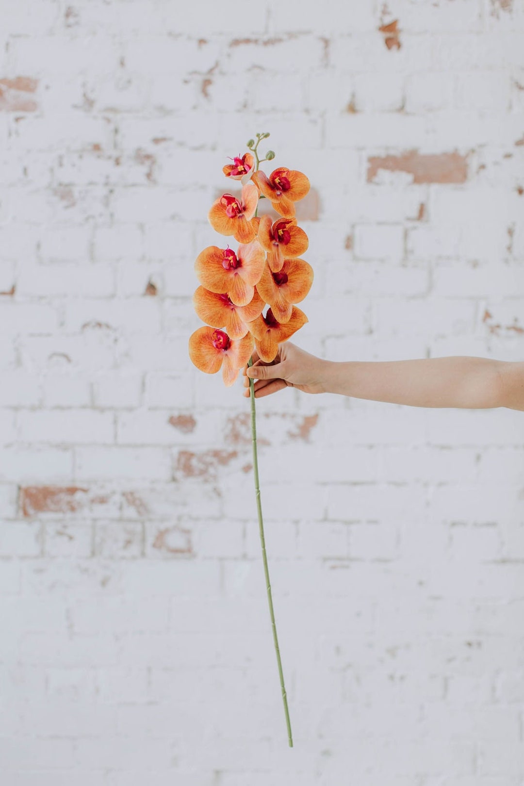 Coral Orchid Stem, Artificial Flower Stem - Etsy