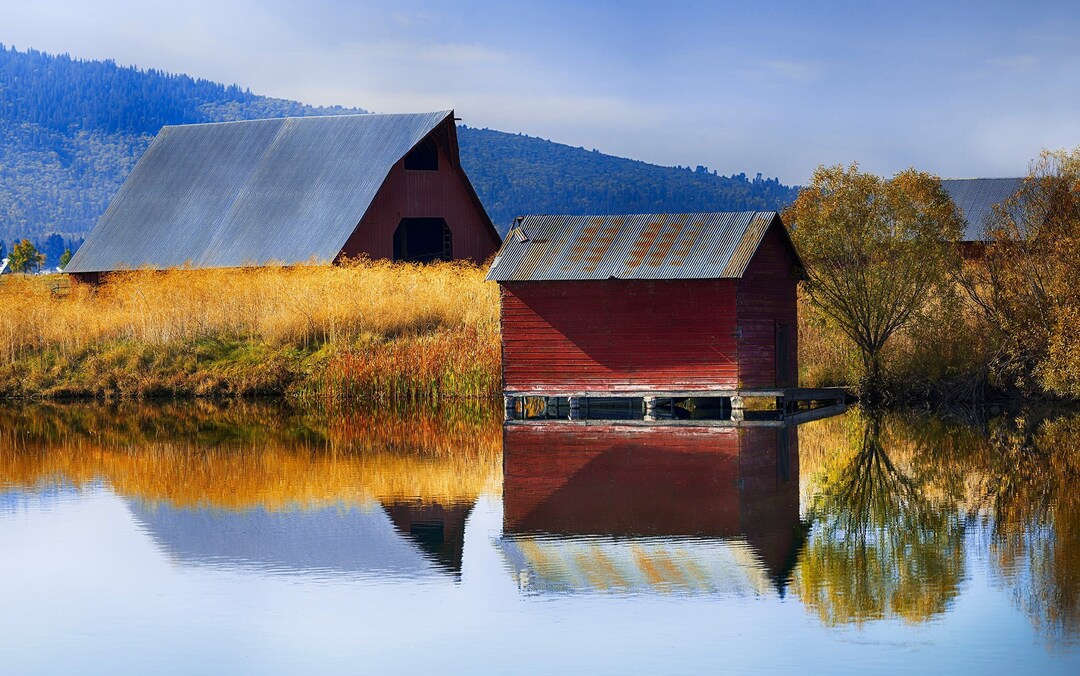 Art of Reflection - Etsy