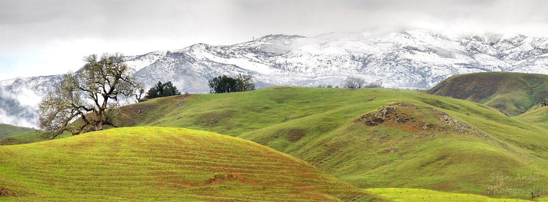 Winter Meet Spring - Etsy