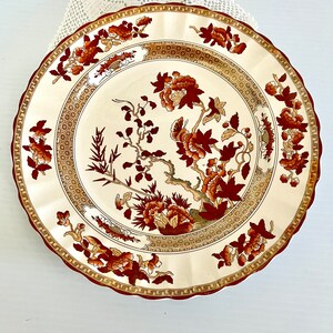 Vintage Spode Indian Tree Dinner Plate Orange/rust Gold Accents ...