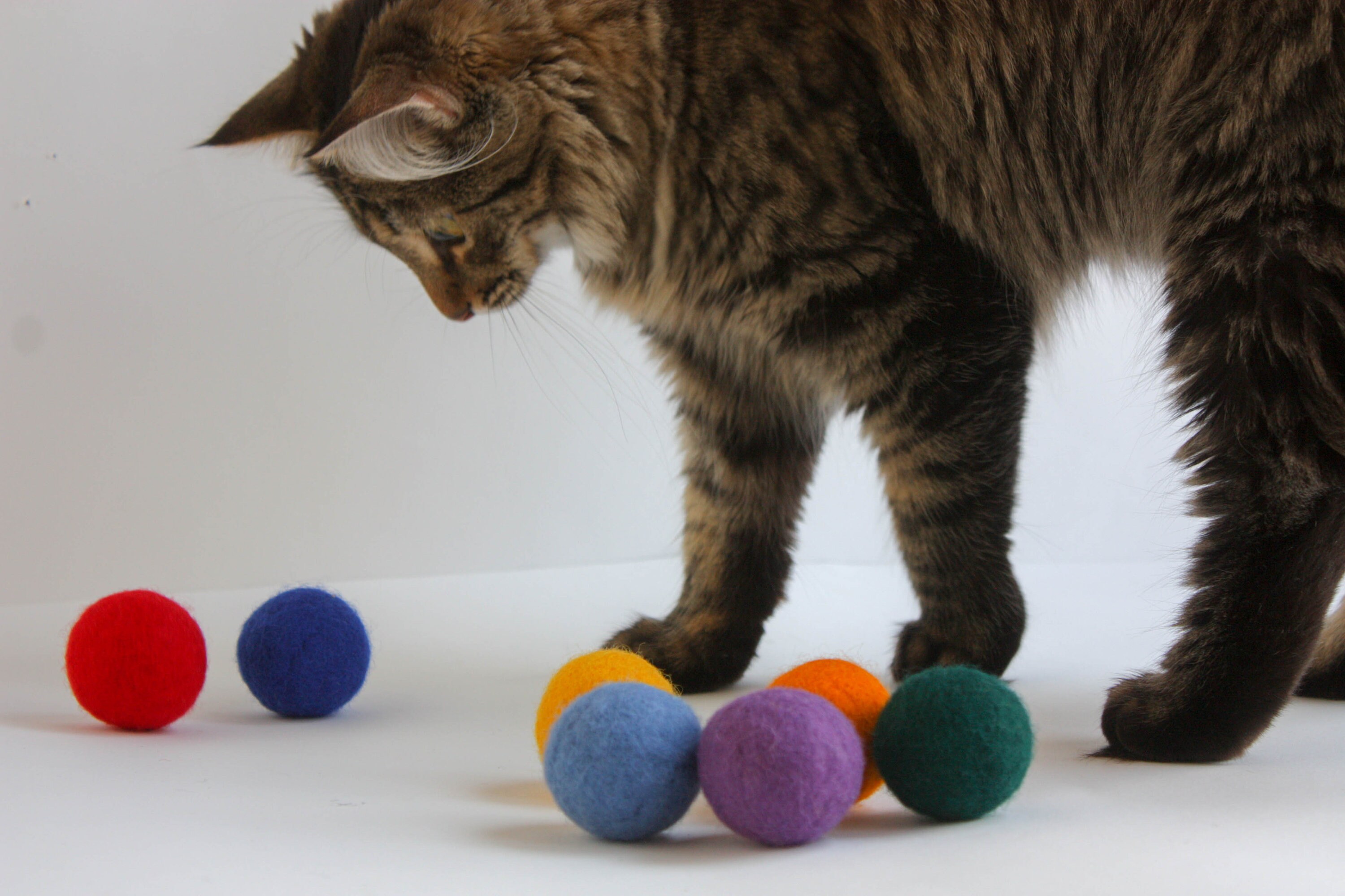 Cat Toy Felted Cat Balls Rainbow Wool Balls Handmade | Etsy