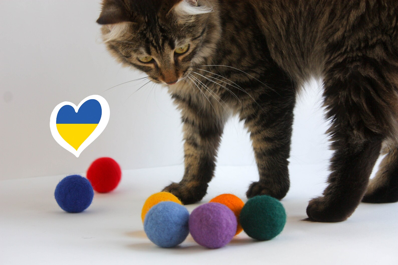 Cat Toy Felted Cat Balls Rainbow Wool Balls Handmade | Etsy