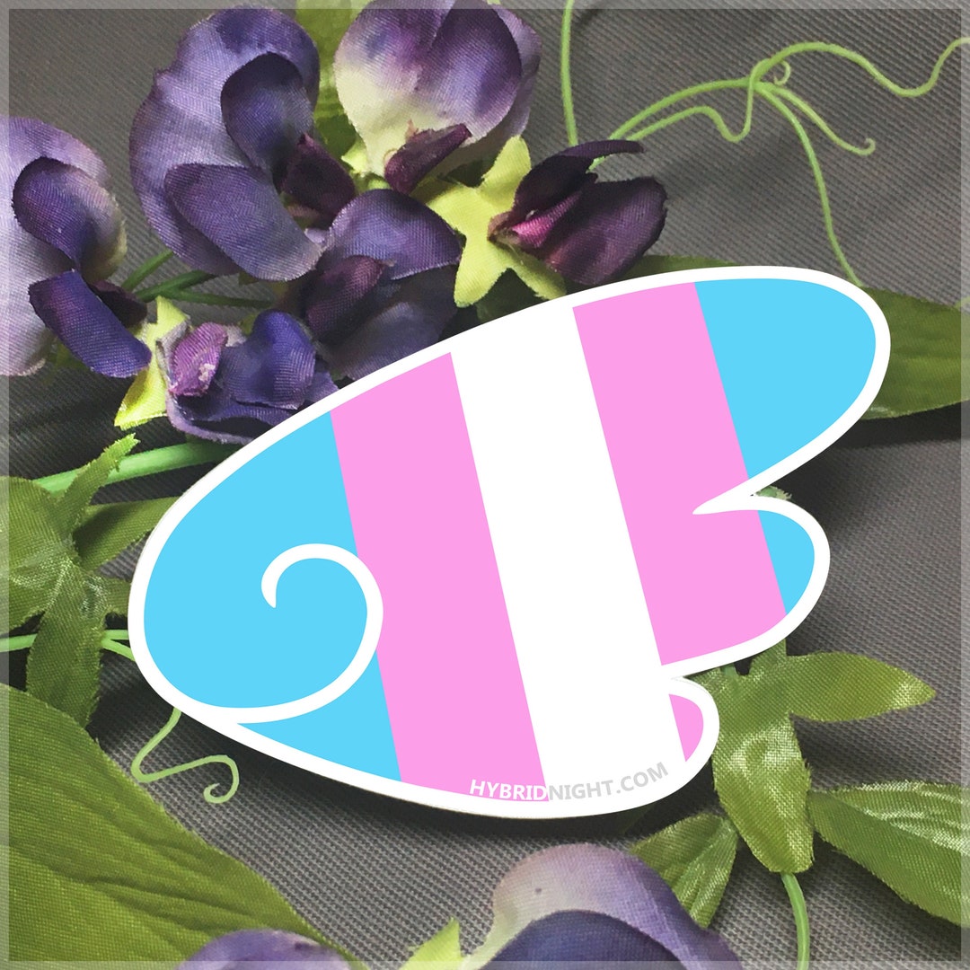 Trans / Transgender Pride LGBT Vinyl Stickers Cute Wing - Etsy