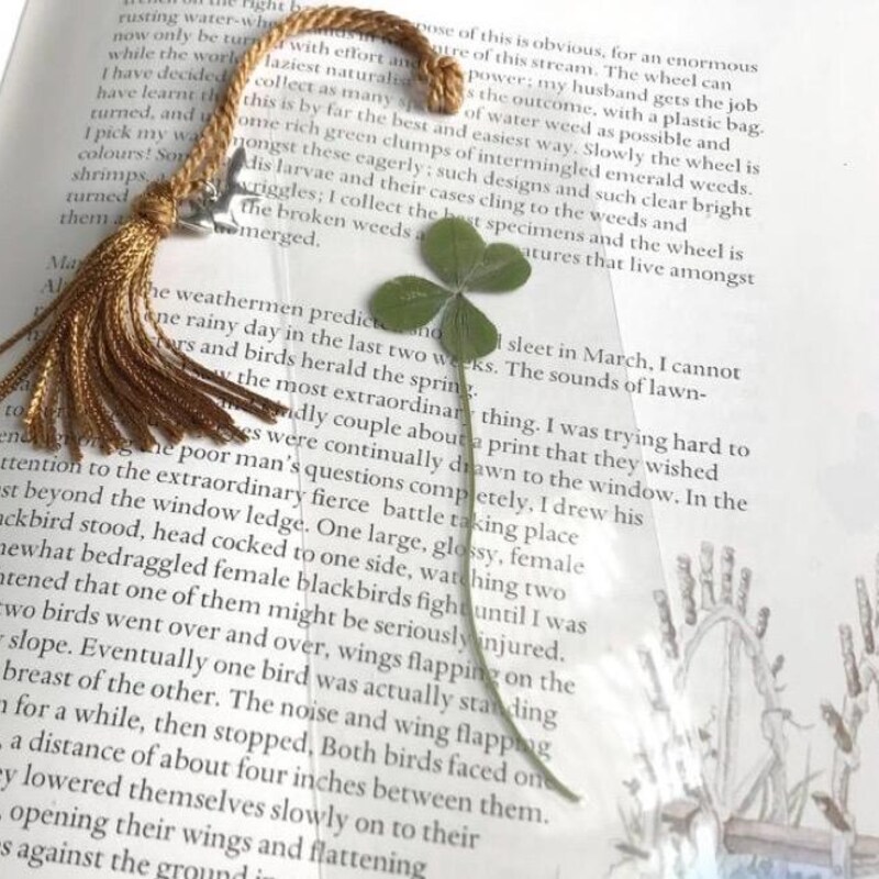 Dried 4 Leaf Clover - Etsy