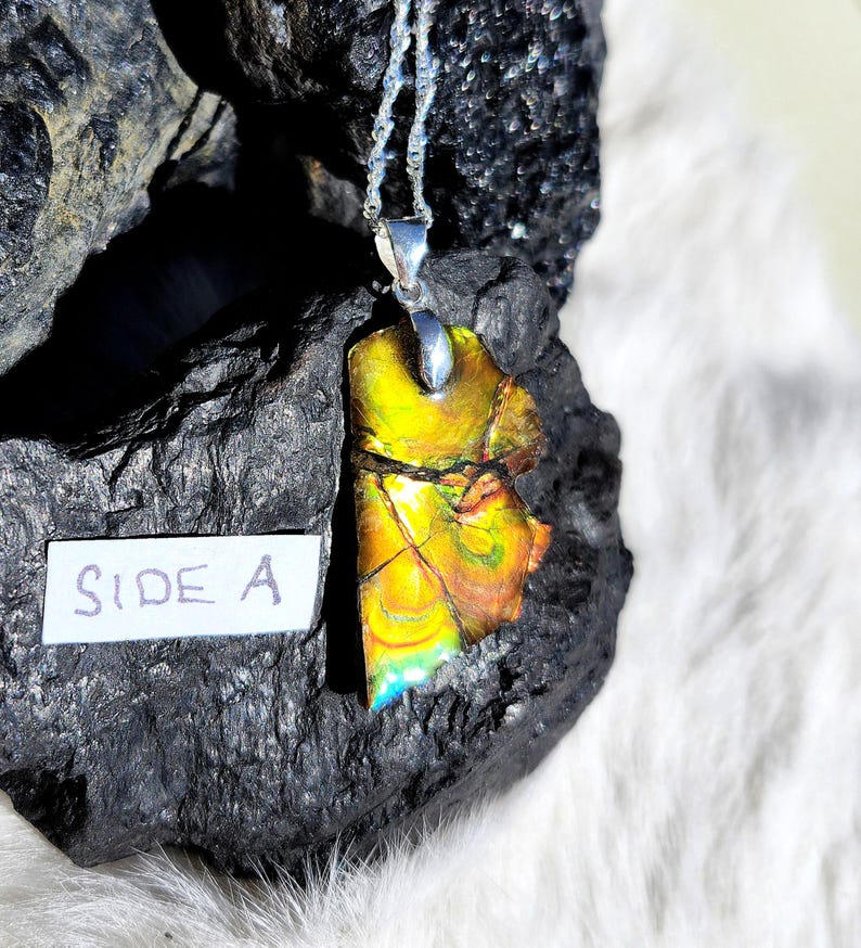 Imperial Alberta Ammolite Pendant! Color on BOTH Sides Featuring Rare ...