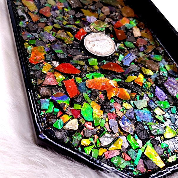 Ammolite - Etsy