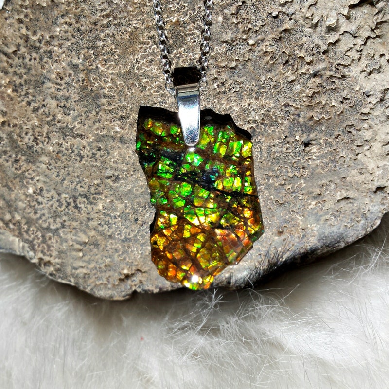 Canadian Ammolite - Etsy