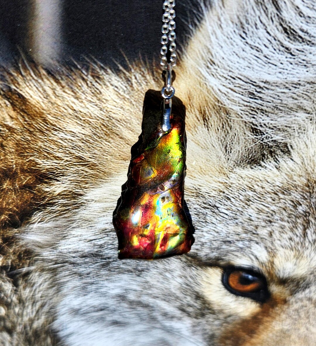 Alberta Ammolite Pendant! Mysterious Pattern With Blue, Red, Green ...