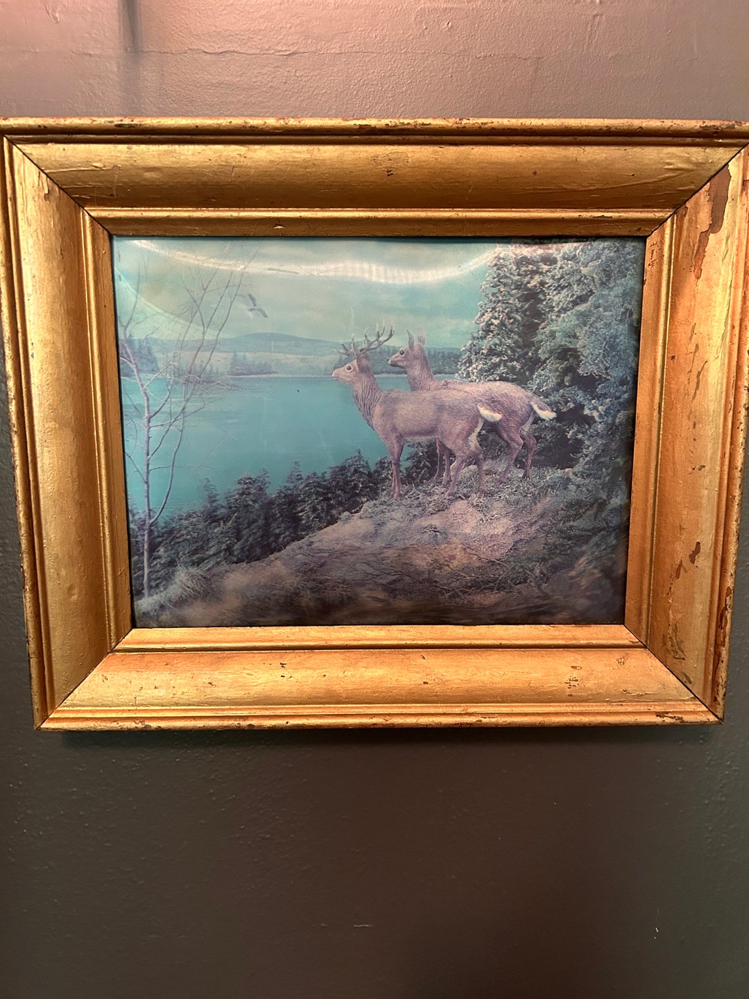 Kitschy Vintage 1960s Toppan Wonder Co Tokyo Japan Lenticular 3D ...