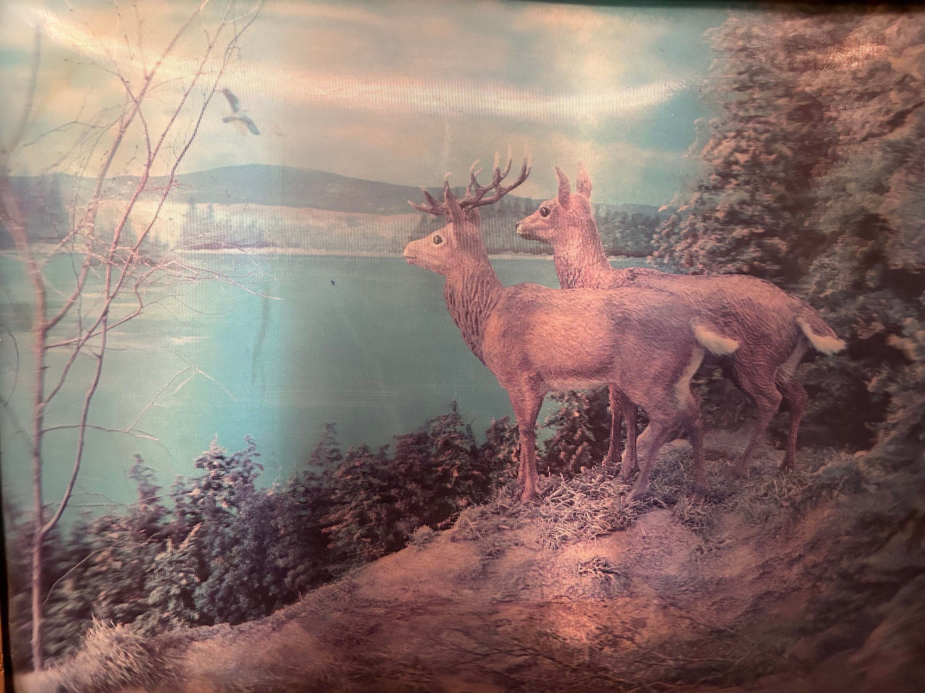 Kitschy Vintage 1960s Toppan Wonder Co Tokyo Japan Lenticular 3D ...