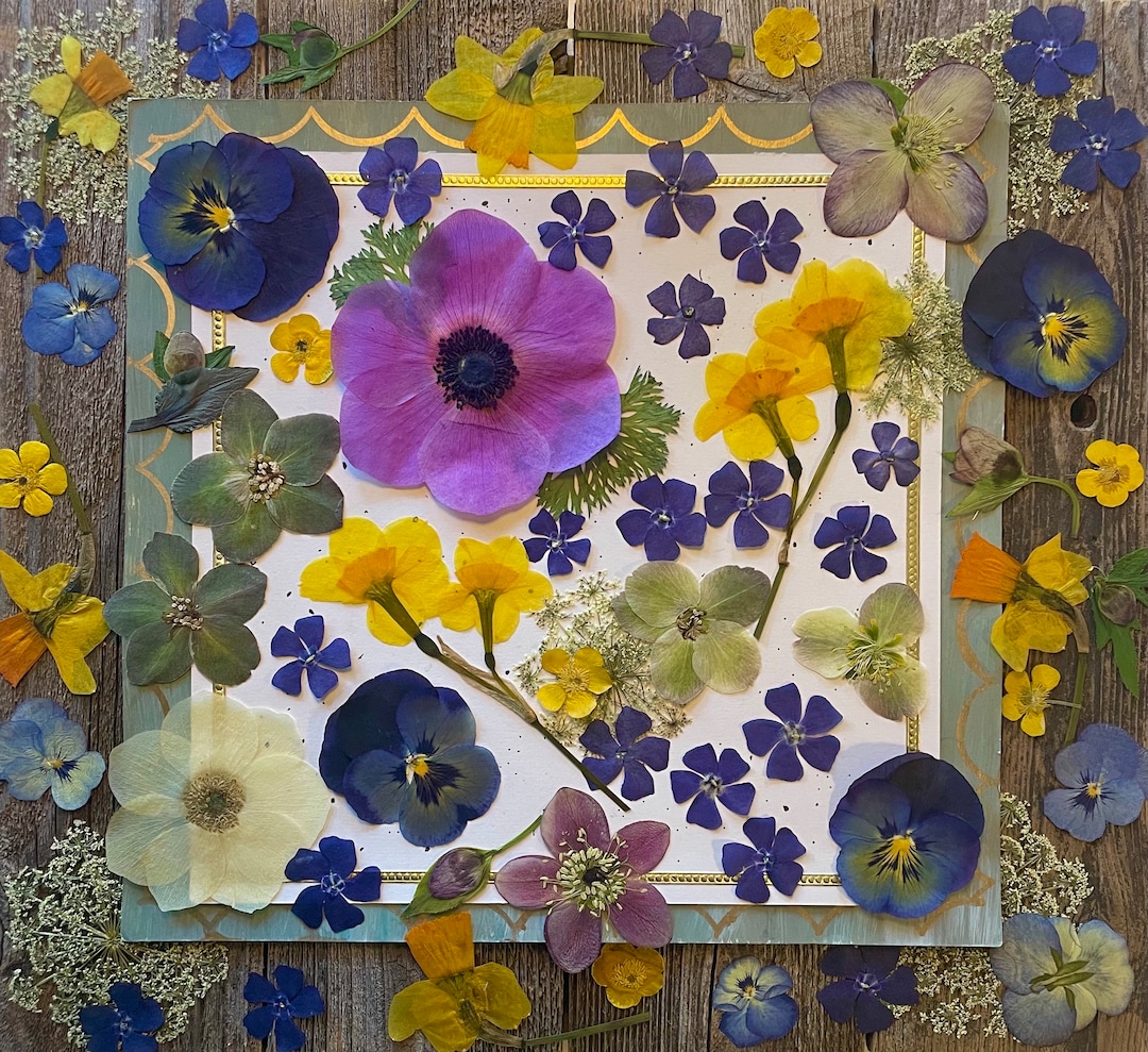 60 Pc Pressed Flowers Anemone Buttercup Periwinkle Daffodil Lenten Rose ...