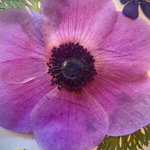 60 Pc Pressed Flowers Anemone Buttercup Periwinkle Daffodil Lenten Rose ...