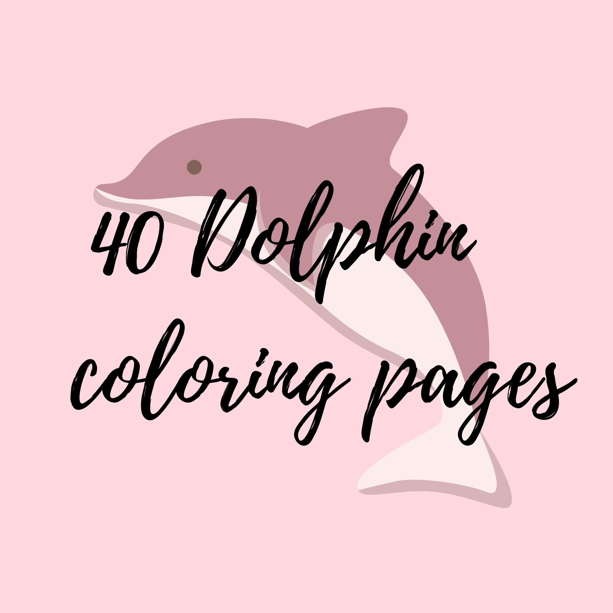 Pink Dolphin Coloring Sheets