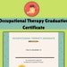 Printable Occupational Therapy Graduation Certificate | OT Handouts ...