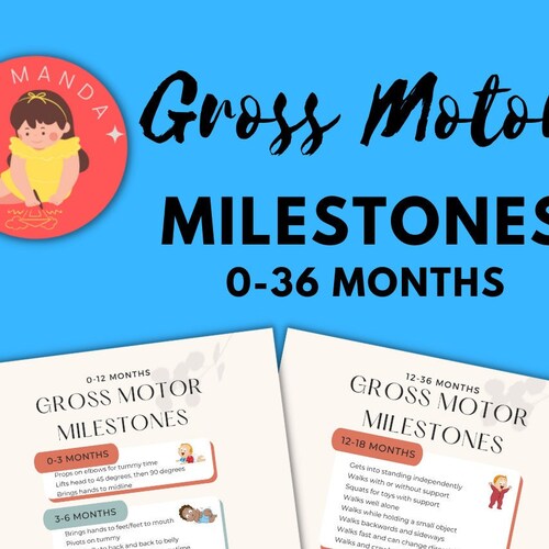 Infant and Toddler Gross Motor Developmental Milestones - Etsy