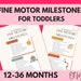 Toddler Fine Motor Milestones Parent Handouts for OT Early Intervention ...