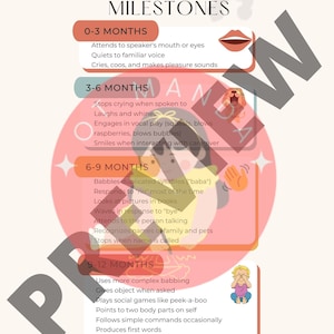 Infant and Toddler 0 - 36 Months Speech and Language Developmental ...