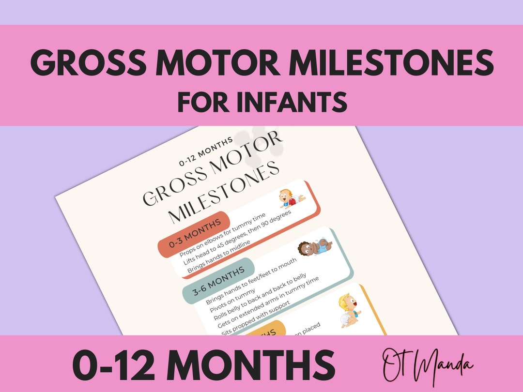 Infant 0 to 12 Months Gross Motor Milestones | Physical and ...