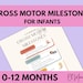 Infant 0 to 12 Months Gross Motor Milestones | Physical and ...