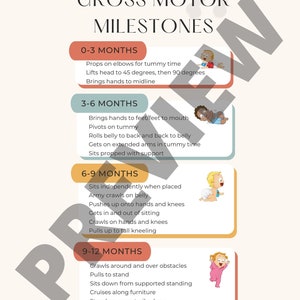 Infant and Toddler Gross Motor Developmental Milestones Handouts for ...