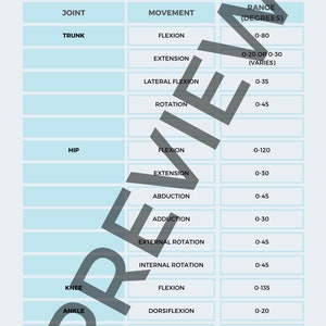 Range of Motion Chart for Rehabilitation Physical Therapy and PT ...