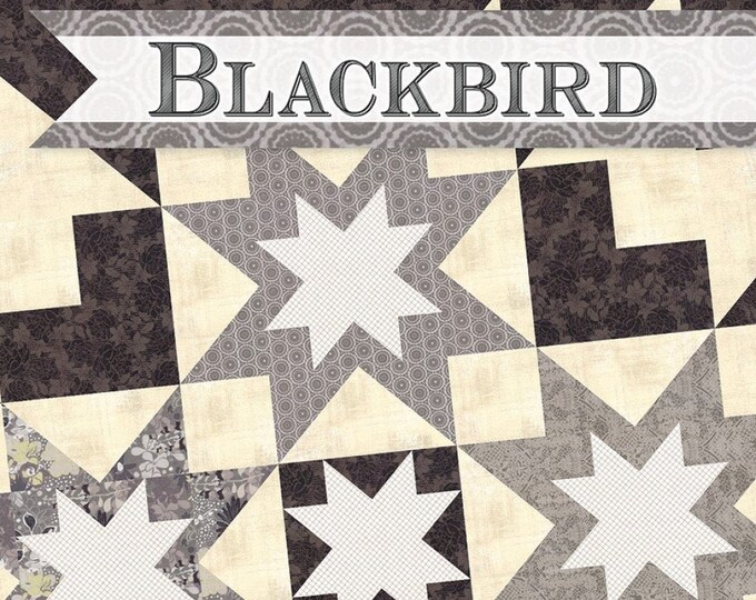 Stars and Windows Quilt Pattern by Beverly Mccullough From Flamingo ...