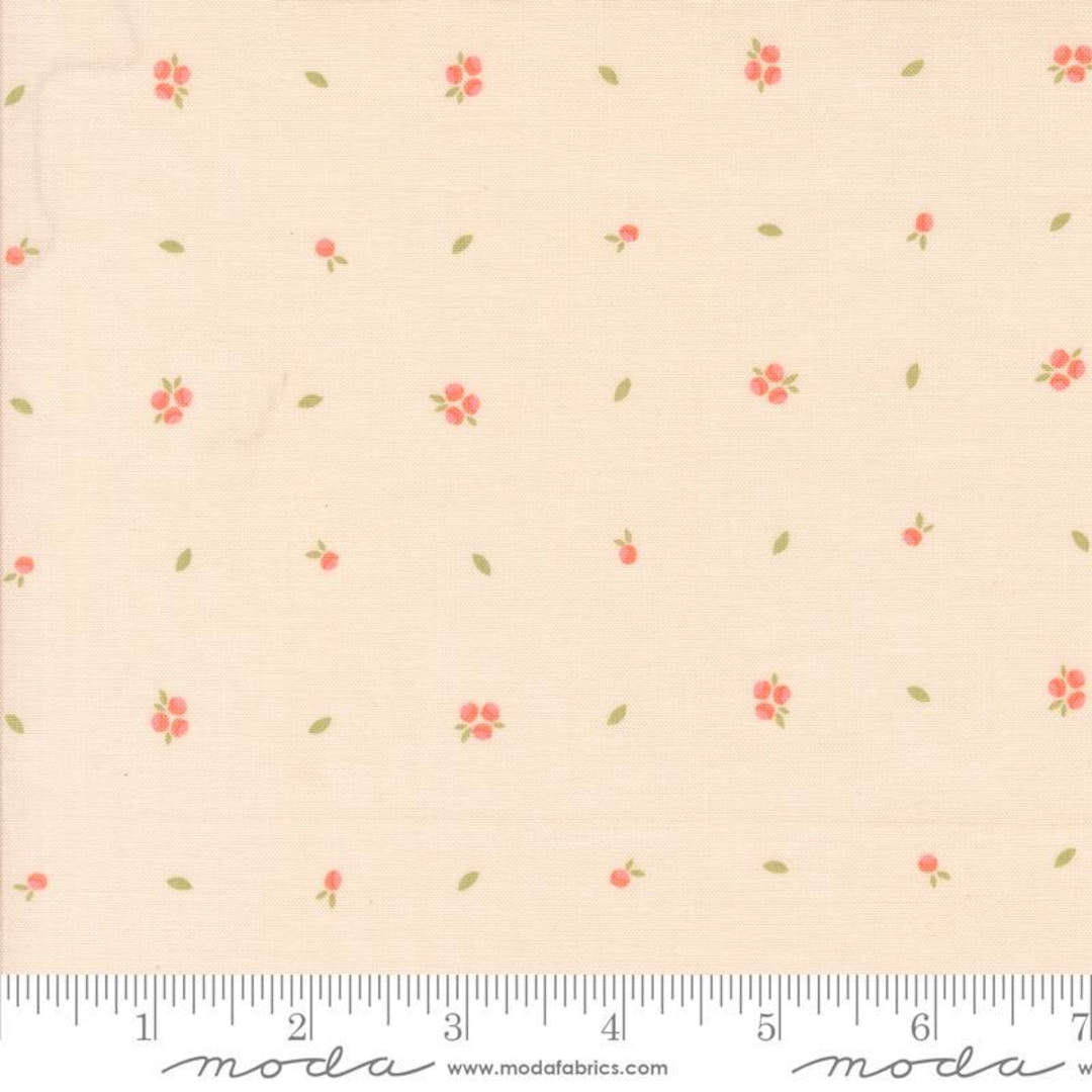 Moda "abloom" Little Sprouts Blenders Pale Pink (29216-14) by Corey Yoder From Coriander Quilts ...