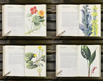 Botanical Book | Etsy