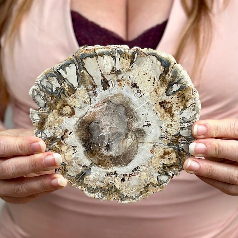 Petrified Wood Ring - Etsy