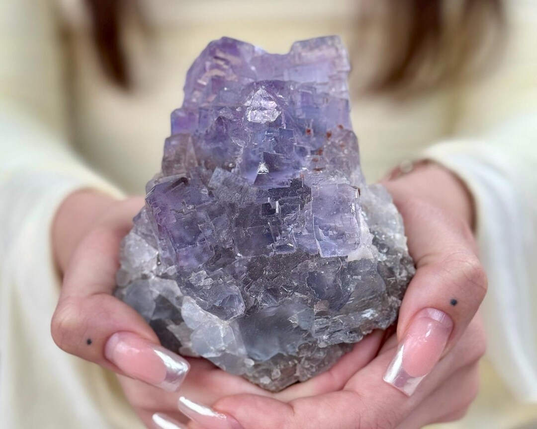 La Viesca Fluorite Specimen: Deep Purple Crystal on Matrix, Collector ...