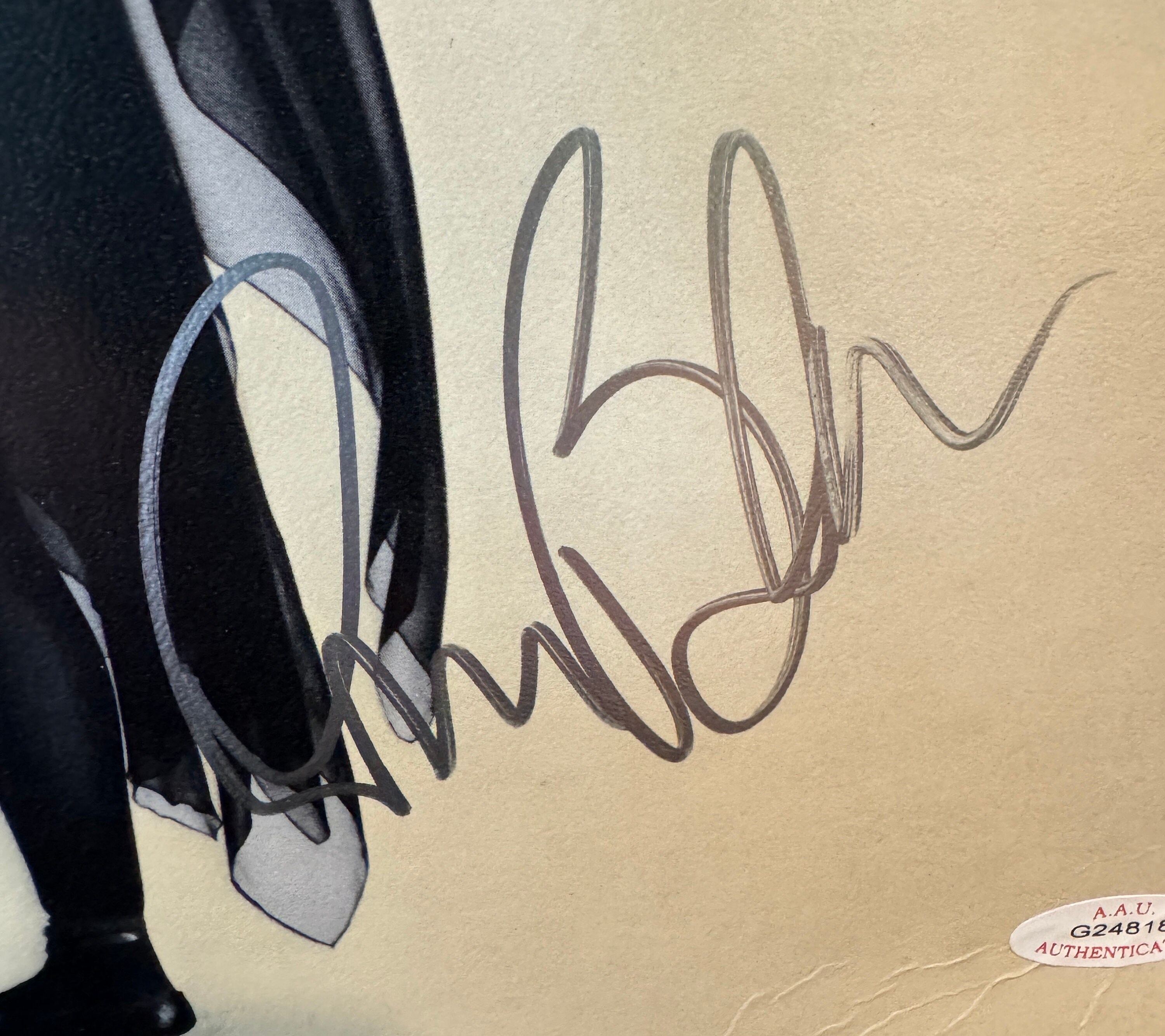 Fleetwood Mac Original Autographed rumours LP Cover COA - Etsy