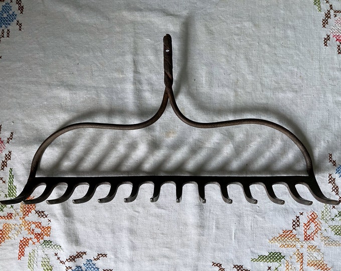 Vintage Rake Head : Black Natural Cast Iron 14 Tines Jewelry Organizer ...