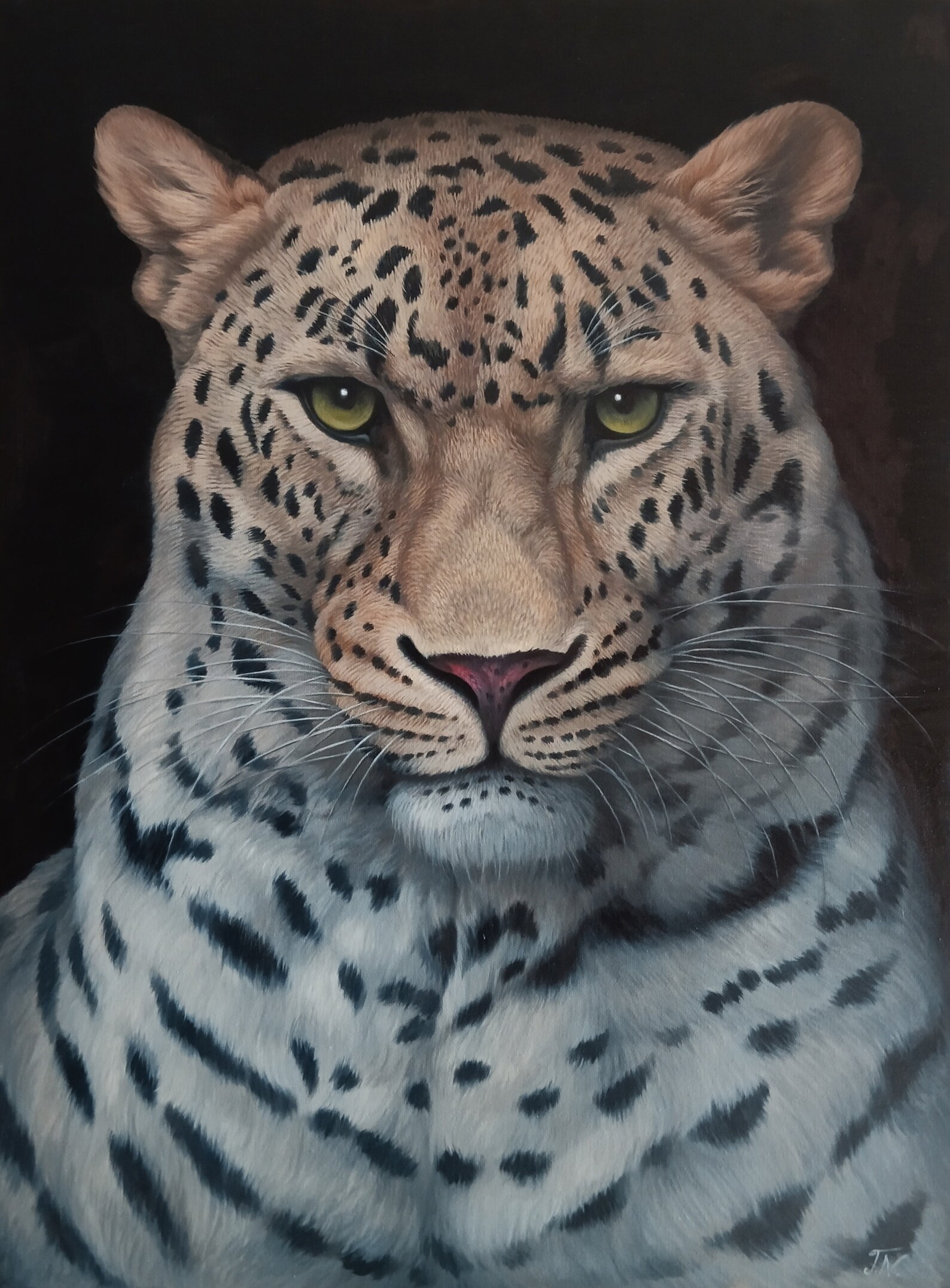Guardian of the Shadows: Intense Leopard Portrait, 60x80cm (23.6x31.5in ...