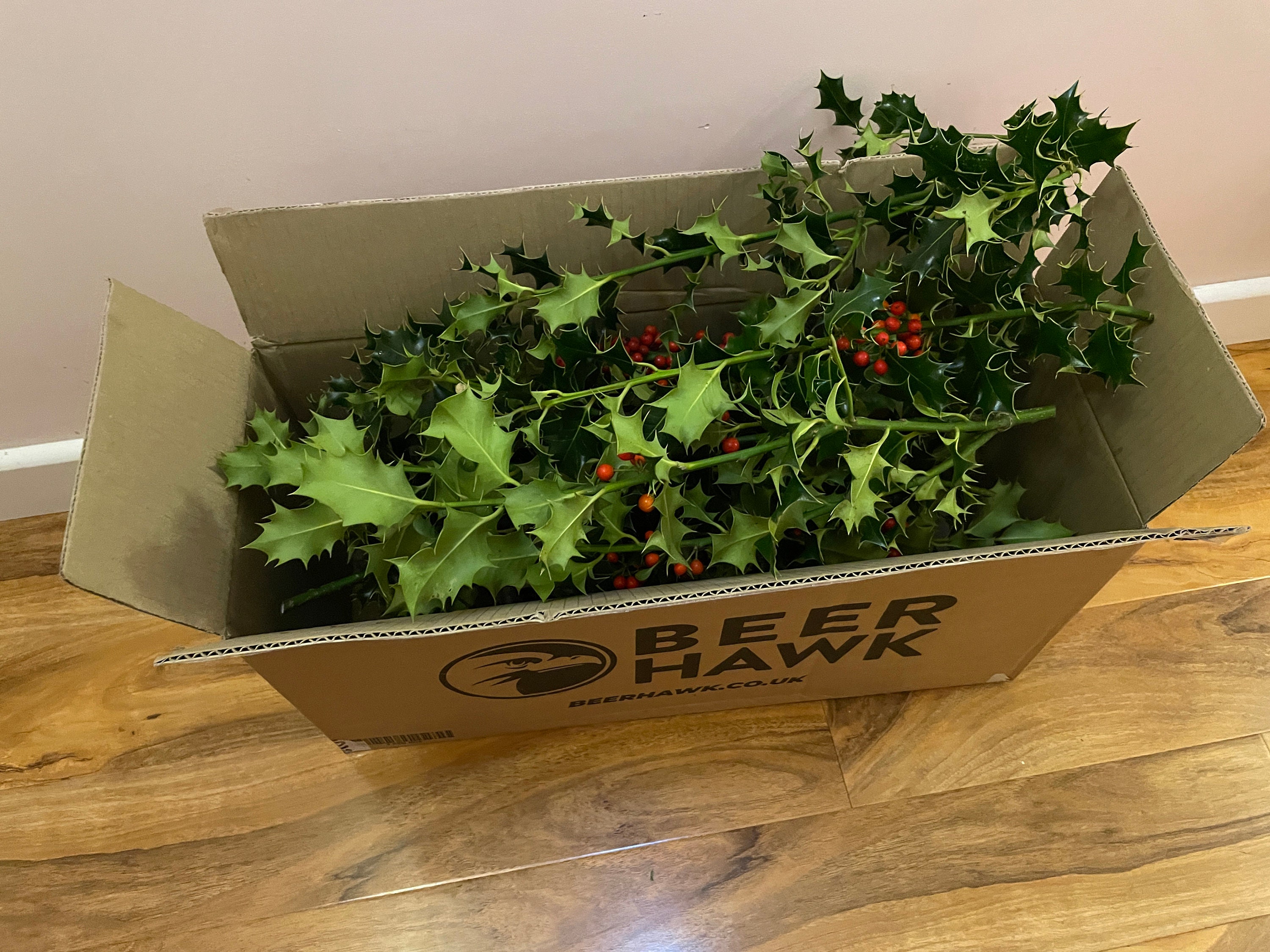 20 Fresh Cut Real Holly Sprigs Ideal for Christmas Wreathes - Etsy UK