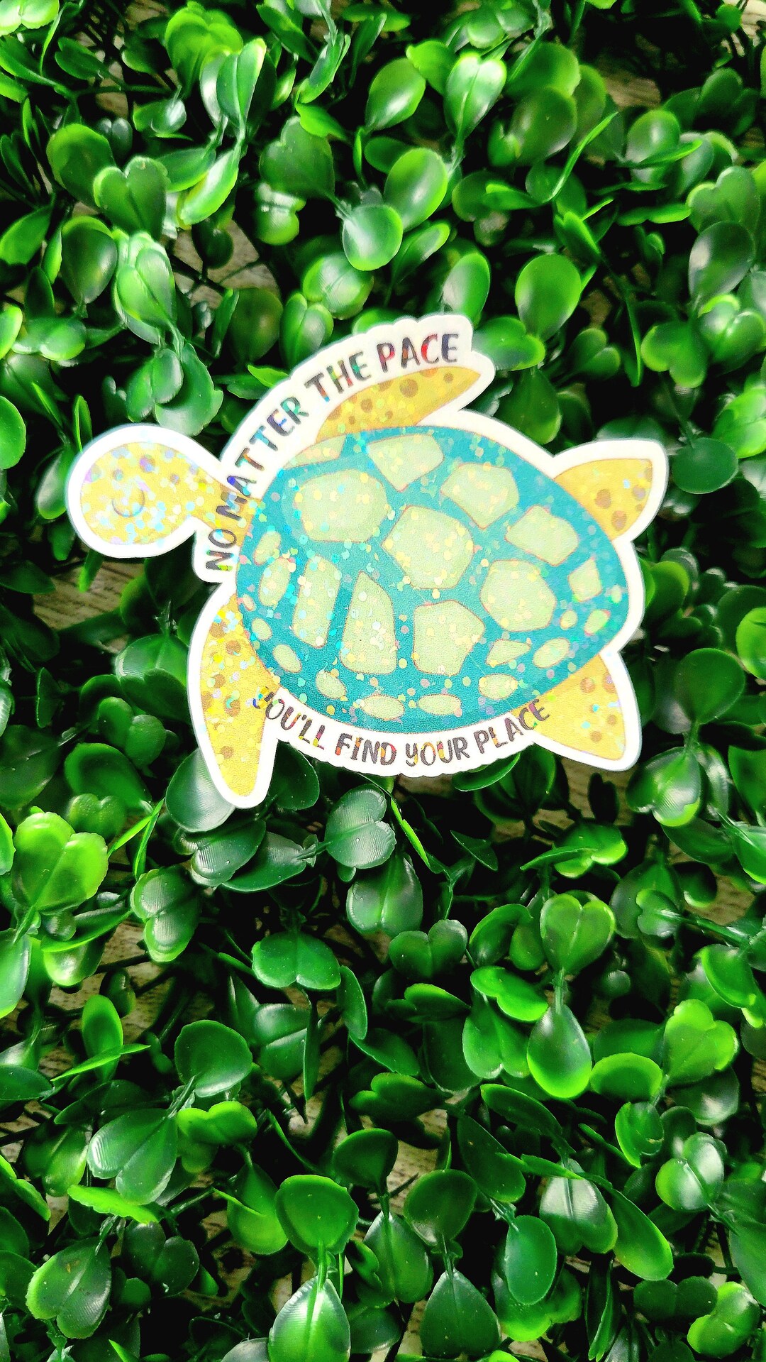 Turtle Sticker, No Matter the Pace, You'll Find Your Place ...