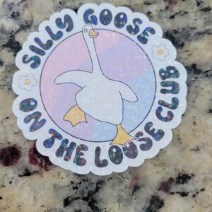 Silly Goose Sticker Bundle, Funny Stickers 5 Pack - Etsy