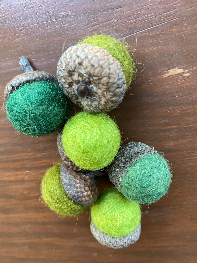 6 Needle Felted Acorns - Etsy