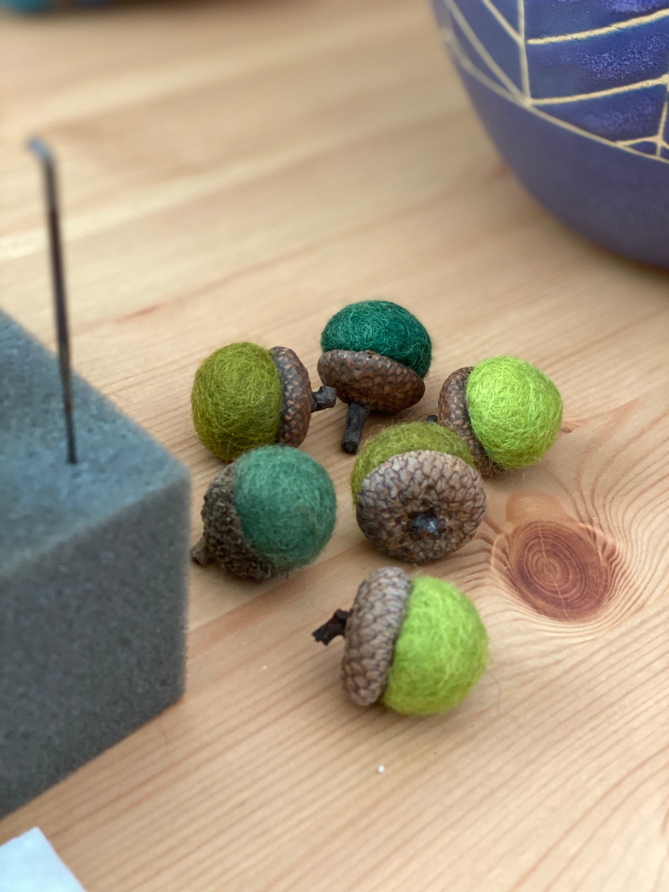 6 Needle Felted Acorns - Etsy