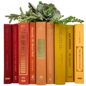 Decorative Books by Color for Home Decor and Staging, Functional Decor ...