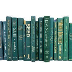 Decorative Books by Color for Home Decor and Staging, Functional Decor ...