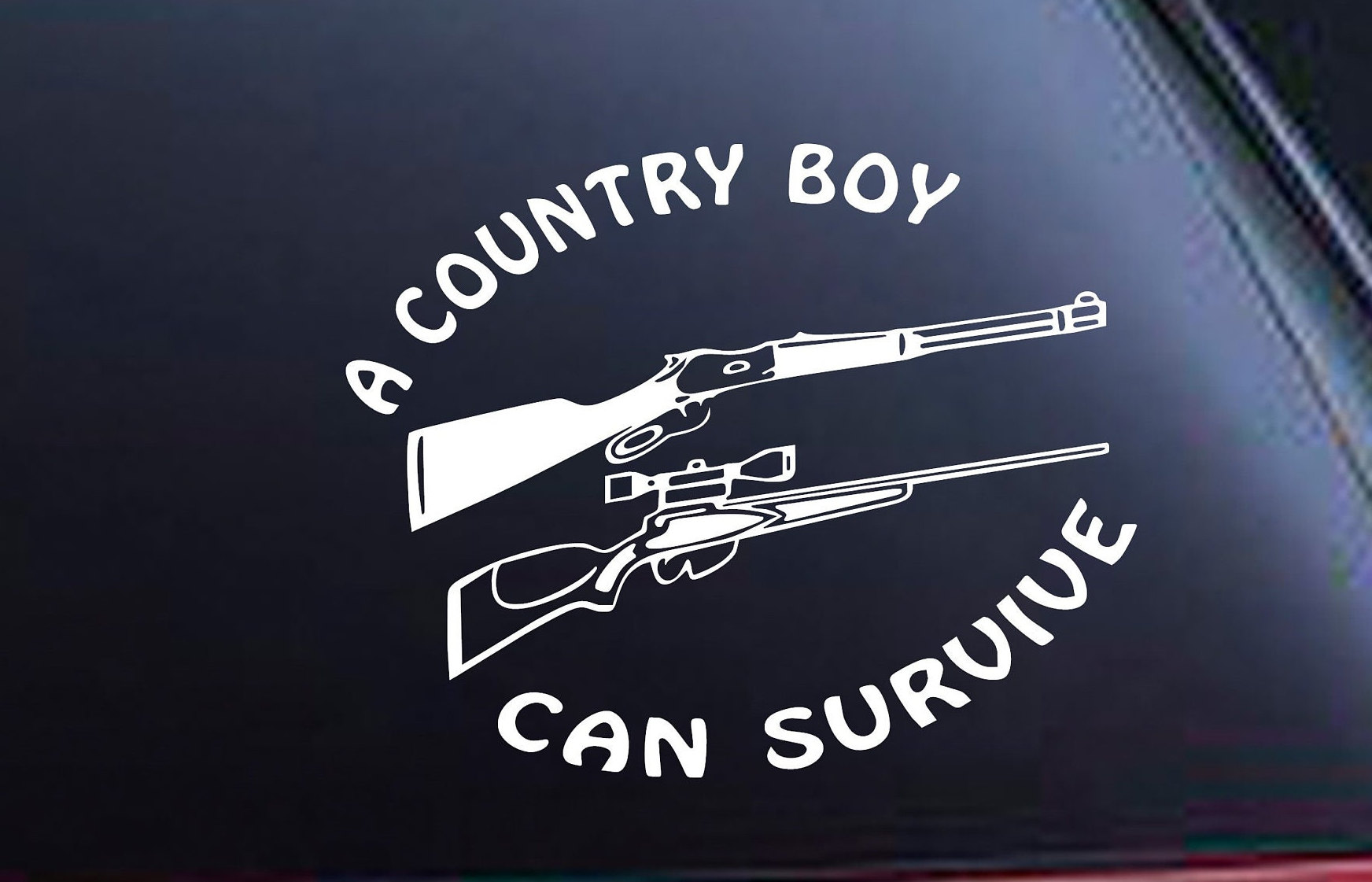 Country Boy Can Survive Decal