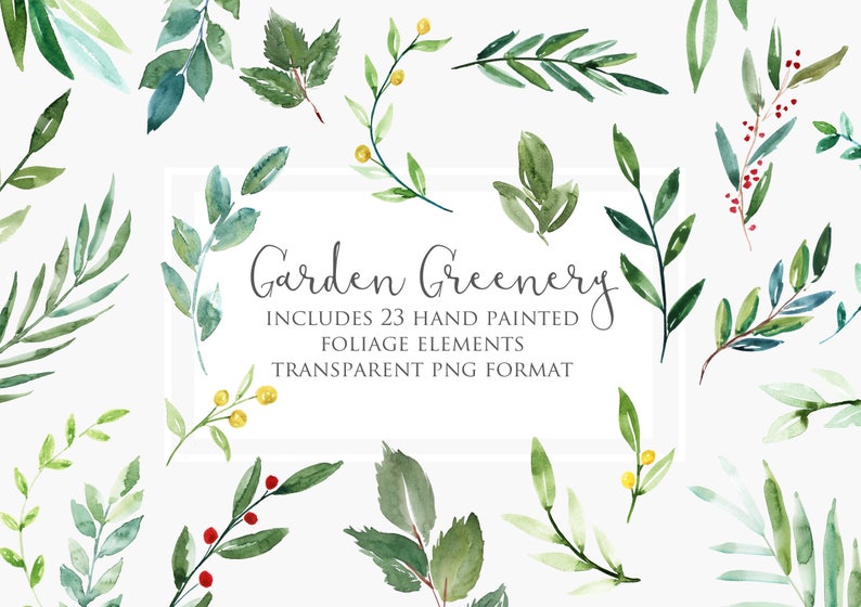 Garden Greenery Digital Hand Painted Watercolour Clip Art Imagery for ...